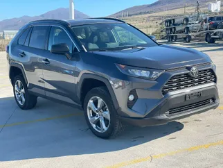 Liontrans - Best Logistics Company in Georgia