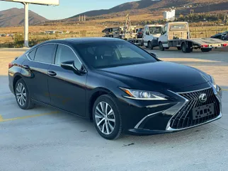 Liontrans - Best Logistics Company in Georgia